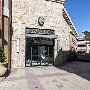 Amenities Archives - Experience Avalon