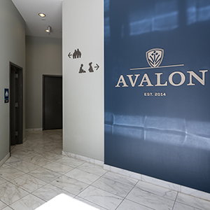 Amenities Archives - Experience Avalon