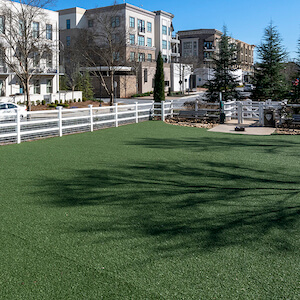 Amenities Archives - Experience Avalon